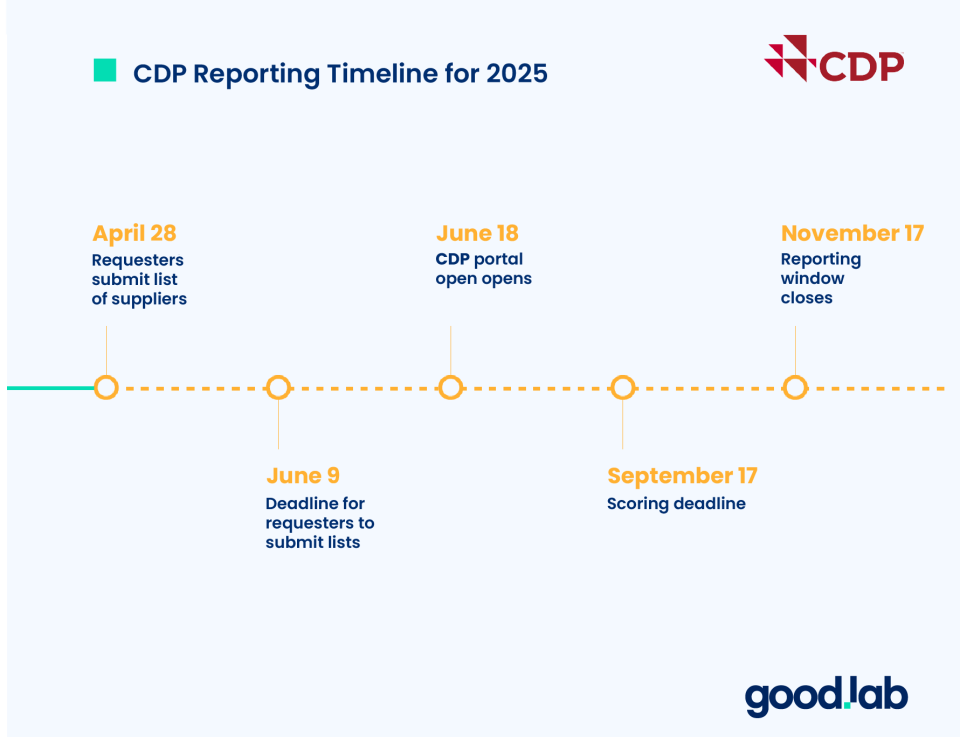 CDP Reporting Guide 2025: Boost Your CDP Score